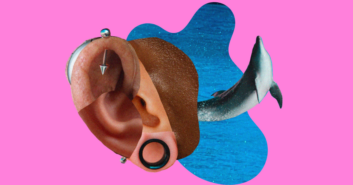 Earcatch is making a splash for accessible media | The D*List