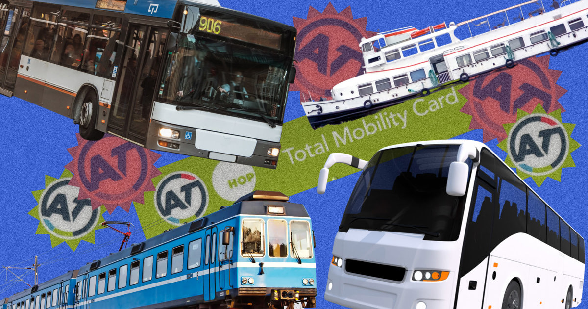 Your insider’s guide to getting a Total Mobility card | The D*List